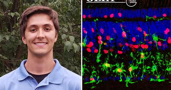 New Paper from Alex Campbell | Neuroscience Graduate Program