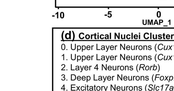 New Paper from Jonathan Packer | Neuroscience Graduate Program